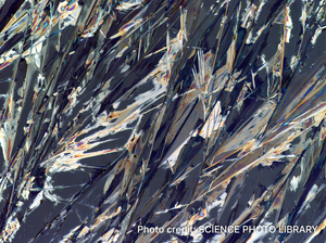 Twice Oral Wellness Immunity Rinse: Best Mouthwash | Twice Twice LLC